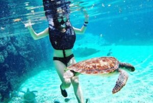 Turtle Farm Grand Cayman Review (2025) - All You Need To Know