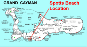 Spotts Beach Grand Cayman Snorkel Review (2022) - All You Need To Know